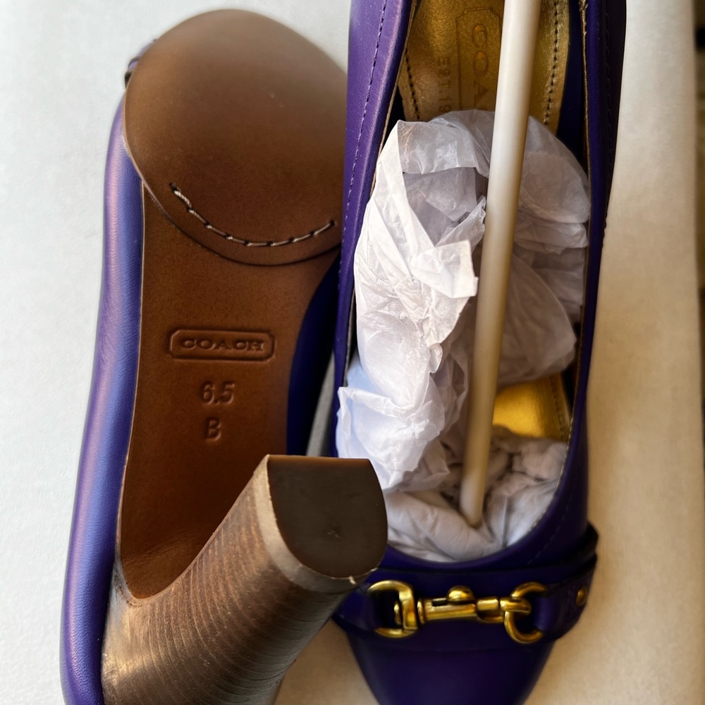 Coach Desaree Leather Ultraviolet Heel Pumps - Gem